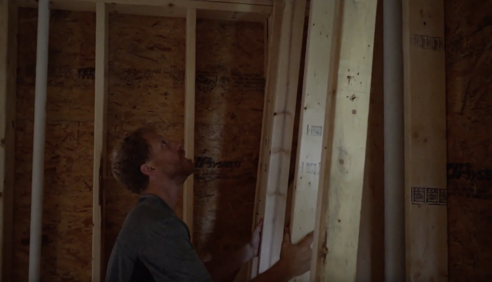 Hard-Working Americans: The Carpenter
