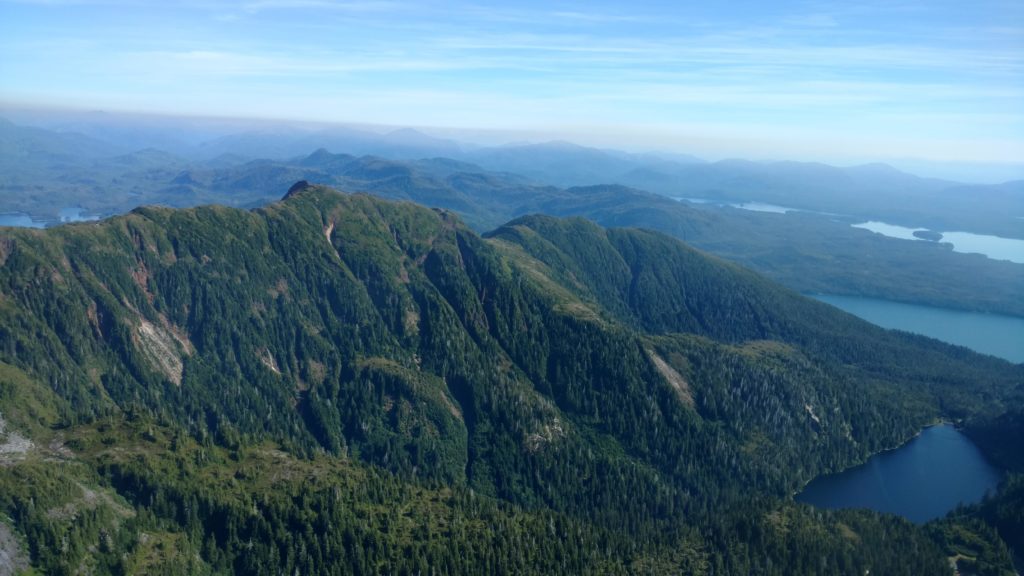 Logging in Alaska: The Complex Battle Waged Over Tongass National Forest