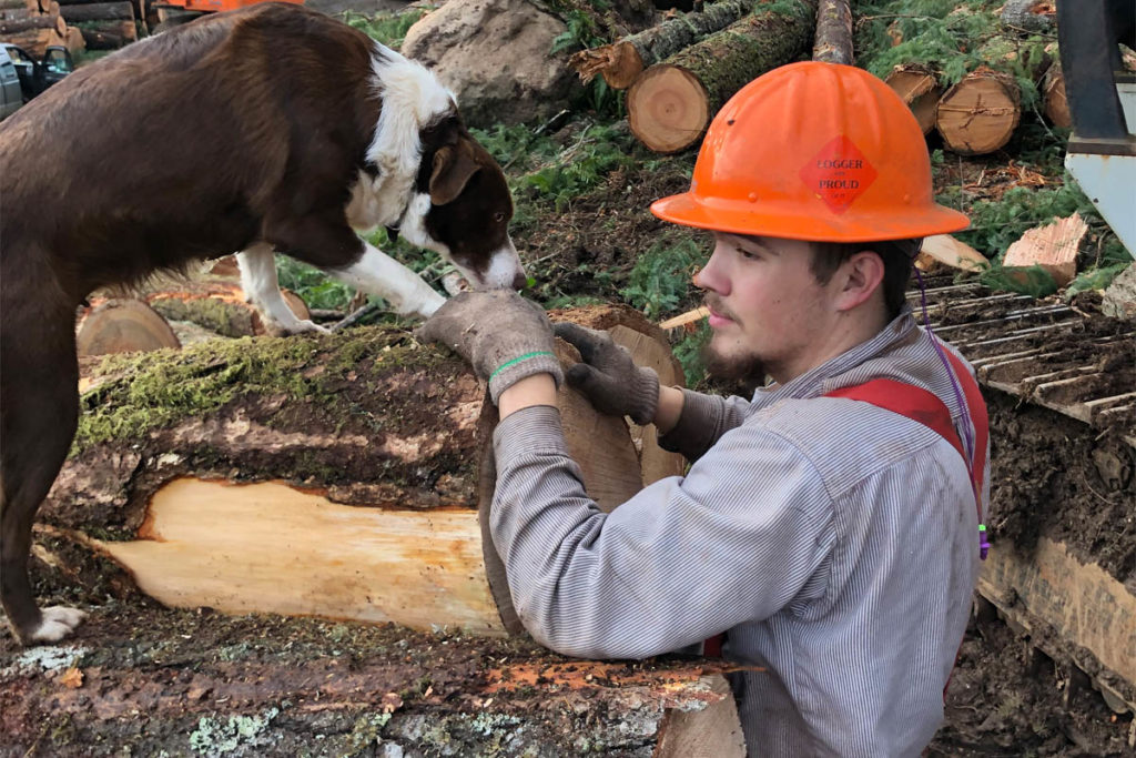 How Generations of Loggers Have Kept the Petersen Ranch Sustainable