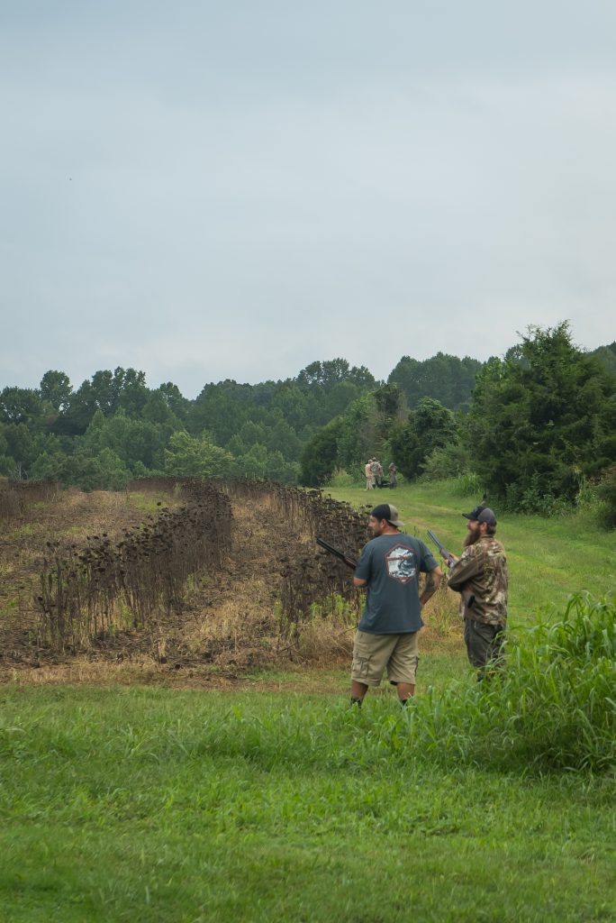 Kicking Off Fall With a Tennessee Dove Shoot
