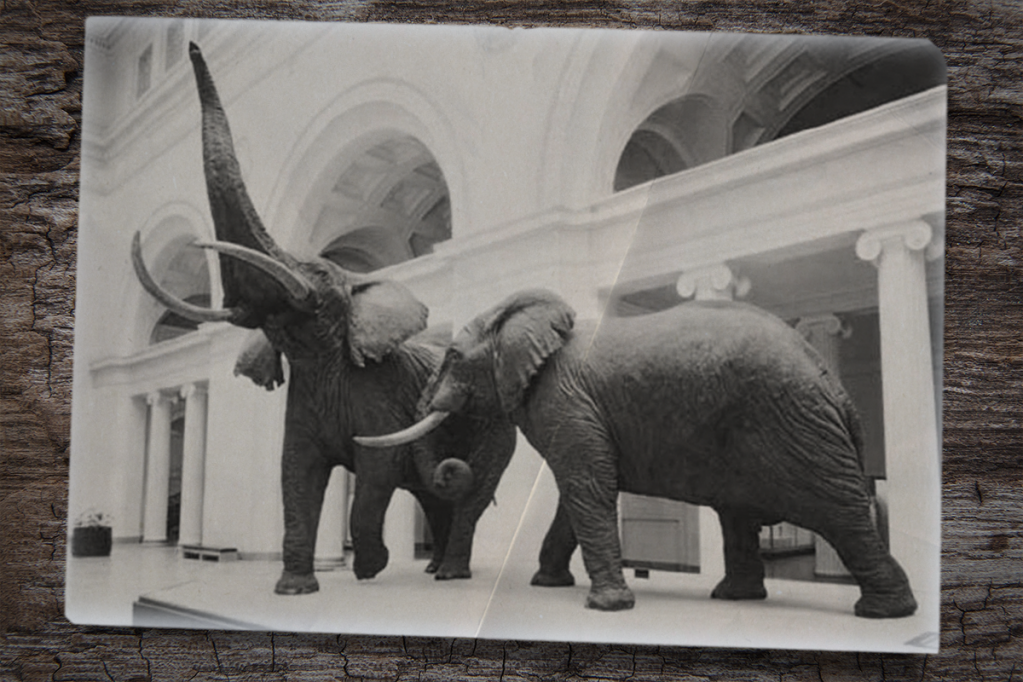 Carl Akeley: The Father of Modern Taxidermy