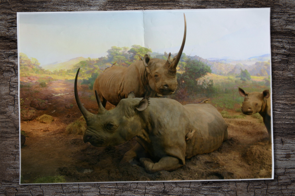 Carl Akeley: The Father of Modern Taxidermy