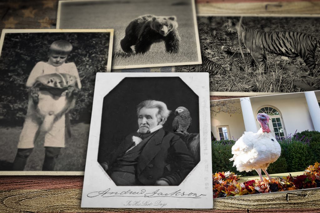 5 of the Wildest Presidential Pets To Stay at the White House