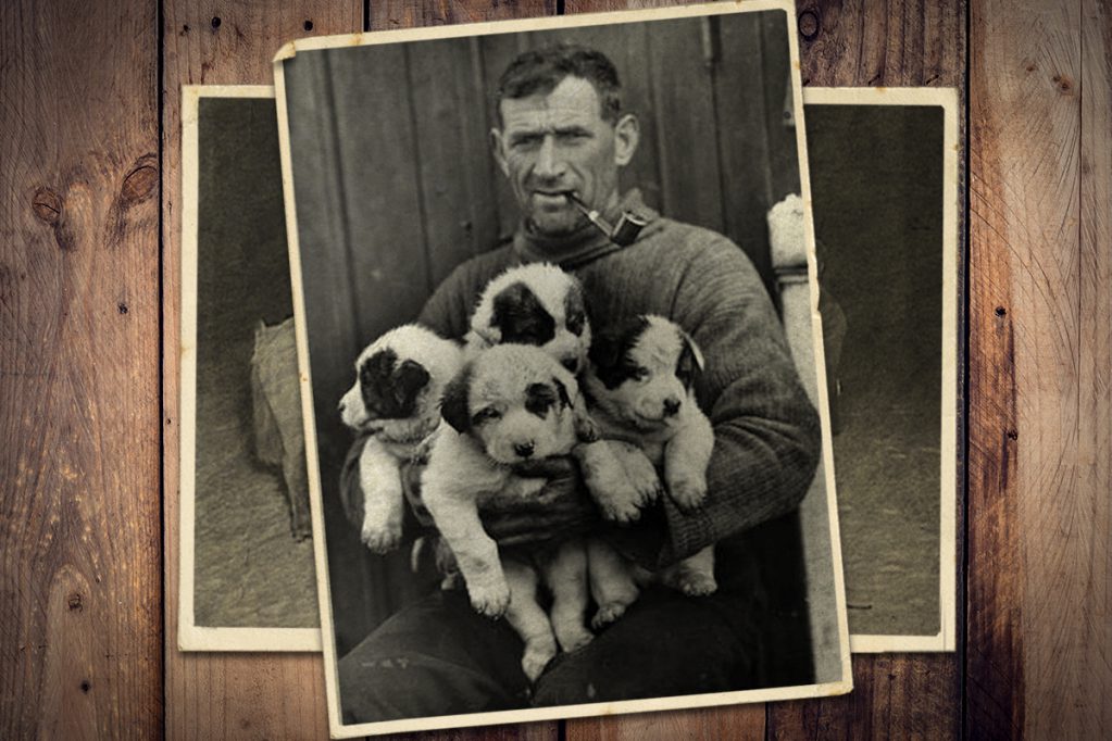 Tom Crean: 5 Facts About the Most Badass Explorer You’ve Never Heard Of