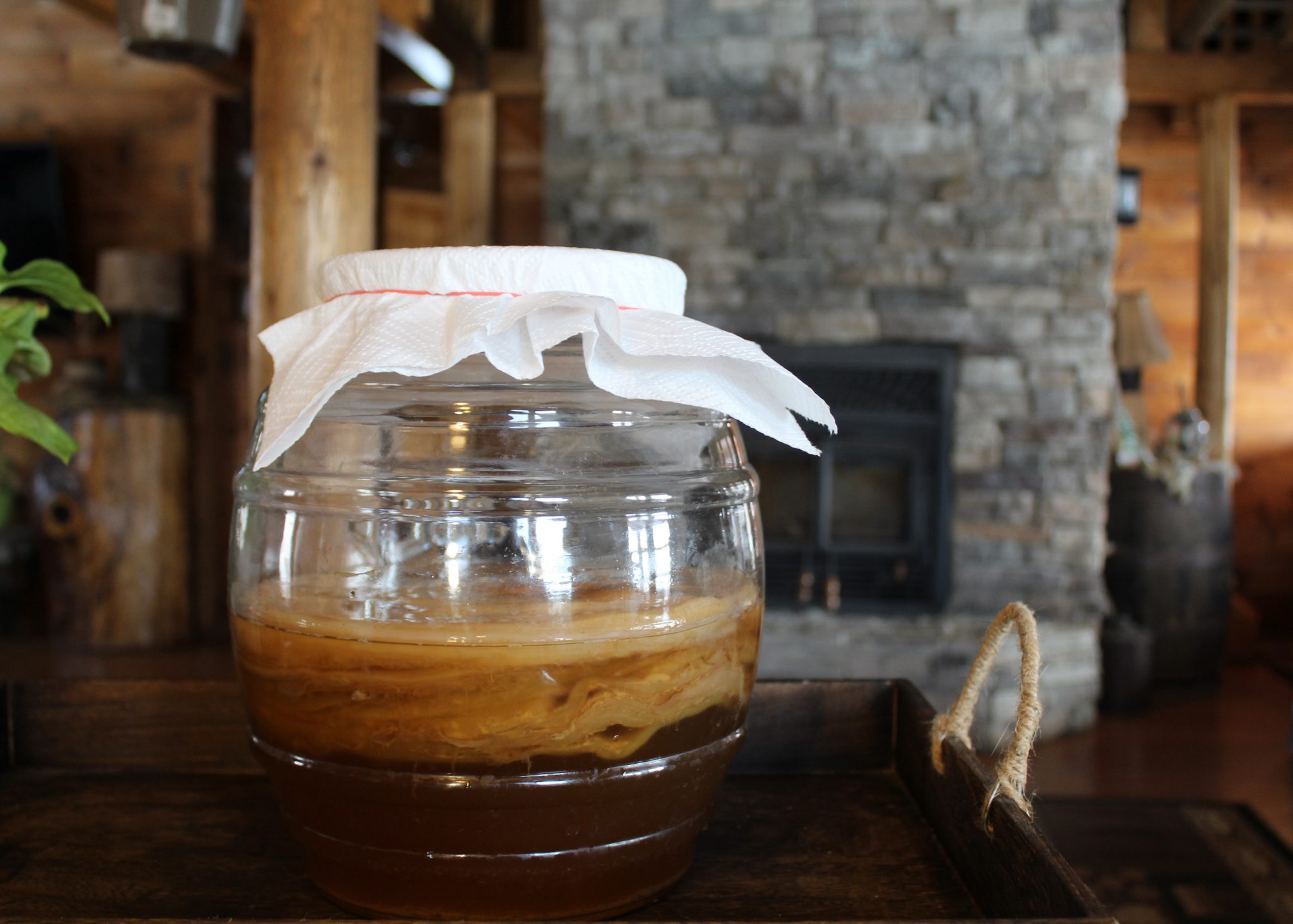 How To Make Kombucha at Home