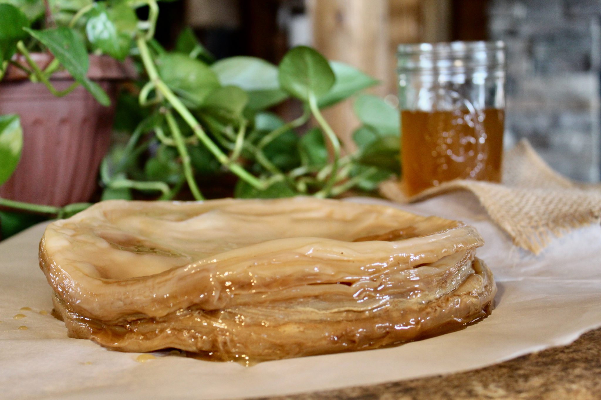 How To Make Kombucha at Home