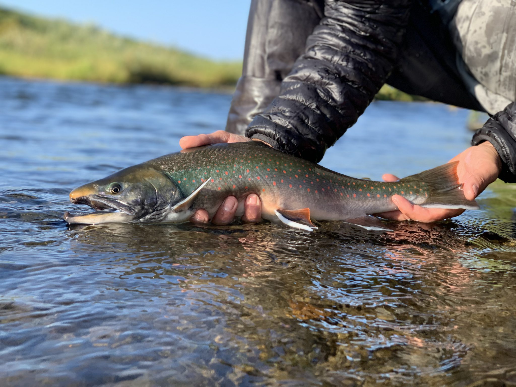 Starter Kit: Learning To Fly Fish — Fly Fishing Patterns