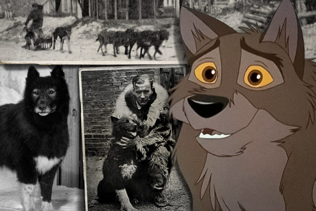 Balto: The True Story of the Child-Saving Alaskan Super Dog