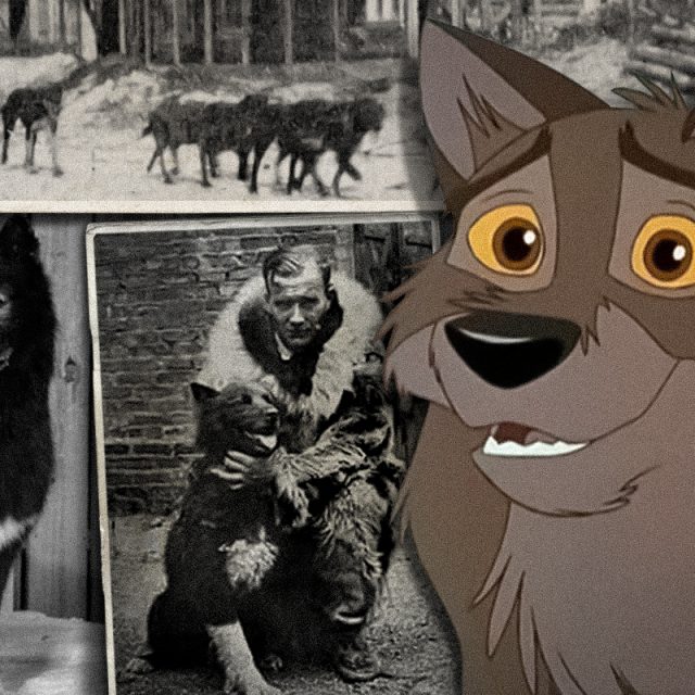 6 Crazy Facts About the Man-Eating Lions of Tsavo