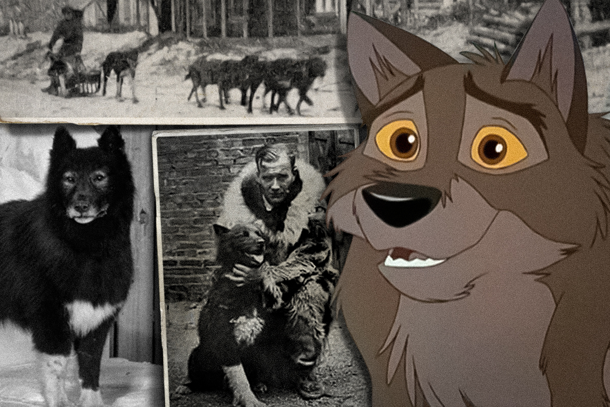 Balto Sled Dog Team Names Riset
