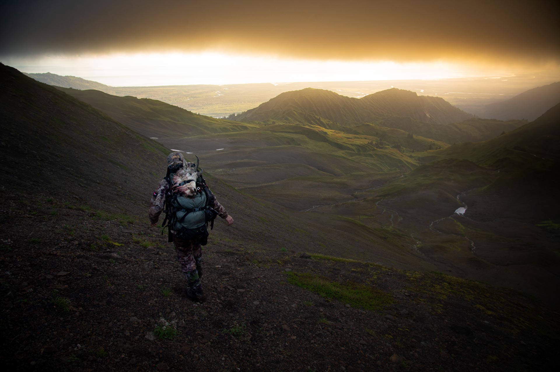 Pro Tips For Shooting Better Outdoor Photography
