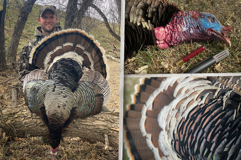 DIY Public Land .410 Turkey Slam in the First 2 Weeks of Turkey Season