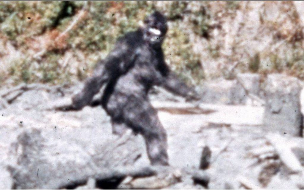 Lesser-Known Bigfoot Legends in The US and Around the World