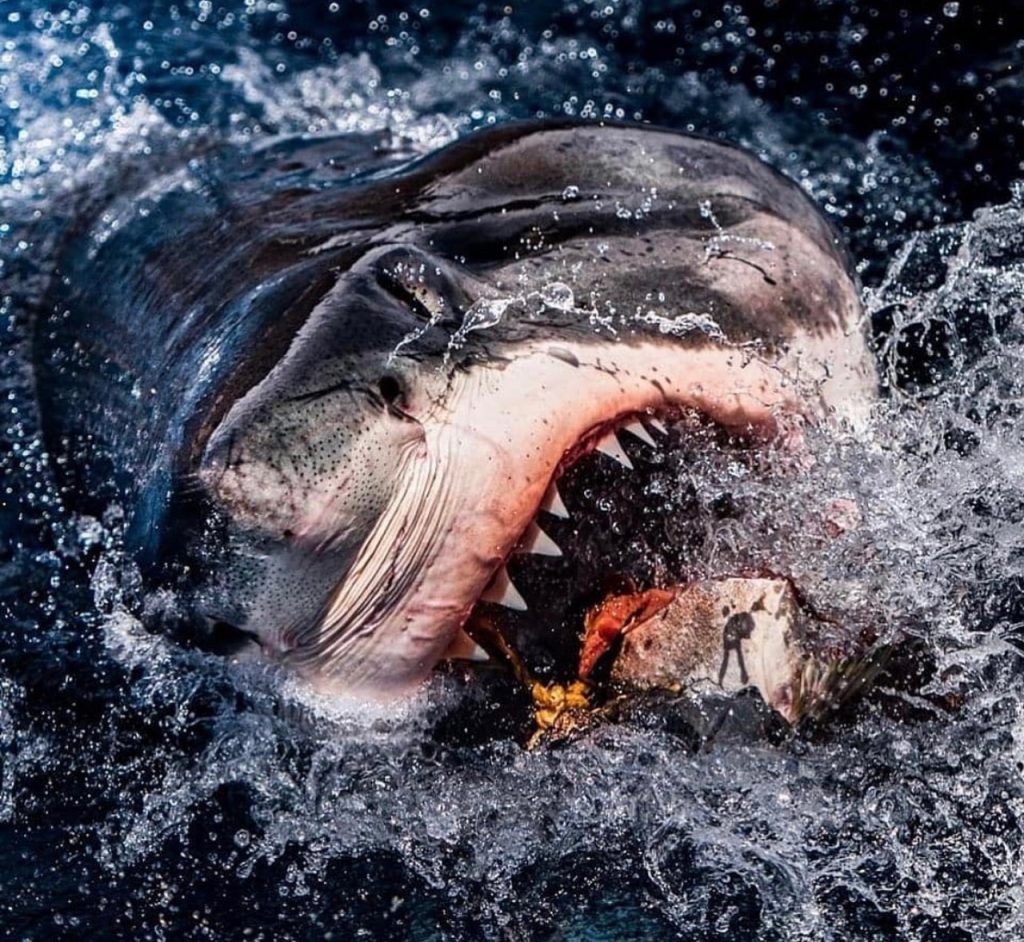 WATCH: Nature Is Metal