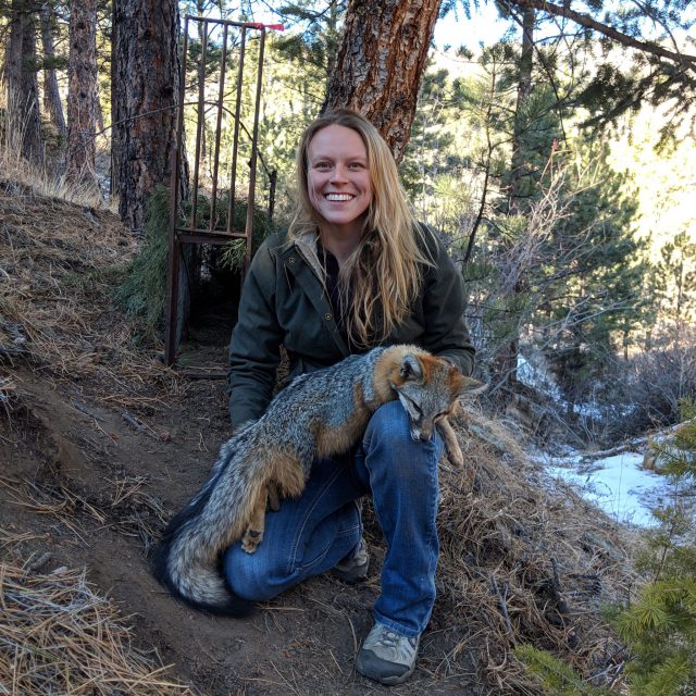 How to Trap Critters in Cages