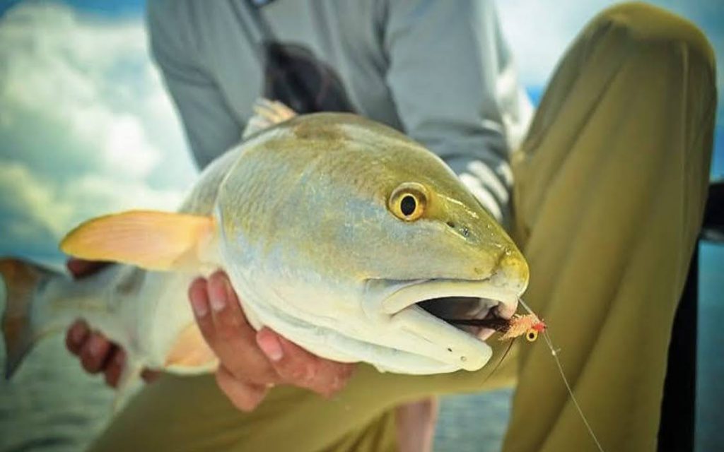 Coastal Conservation Association: Saving Florida’s Redfish and Specks