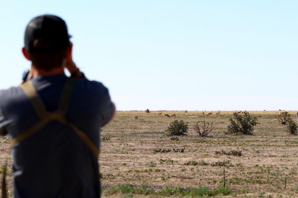 Pronghorn Hunting: The 5 Best States for Speed Goats