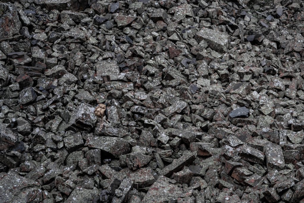 Breaking the Curse: A Decade-Long Elk Hunt - A Cursed Elk Hunt