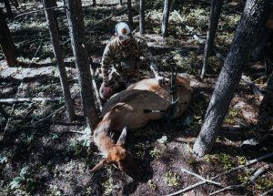 Breaking the Curse: A Decade-Long Elk Hunt - A Cursed Elk Hunt