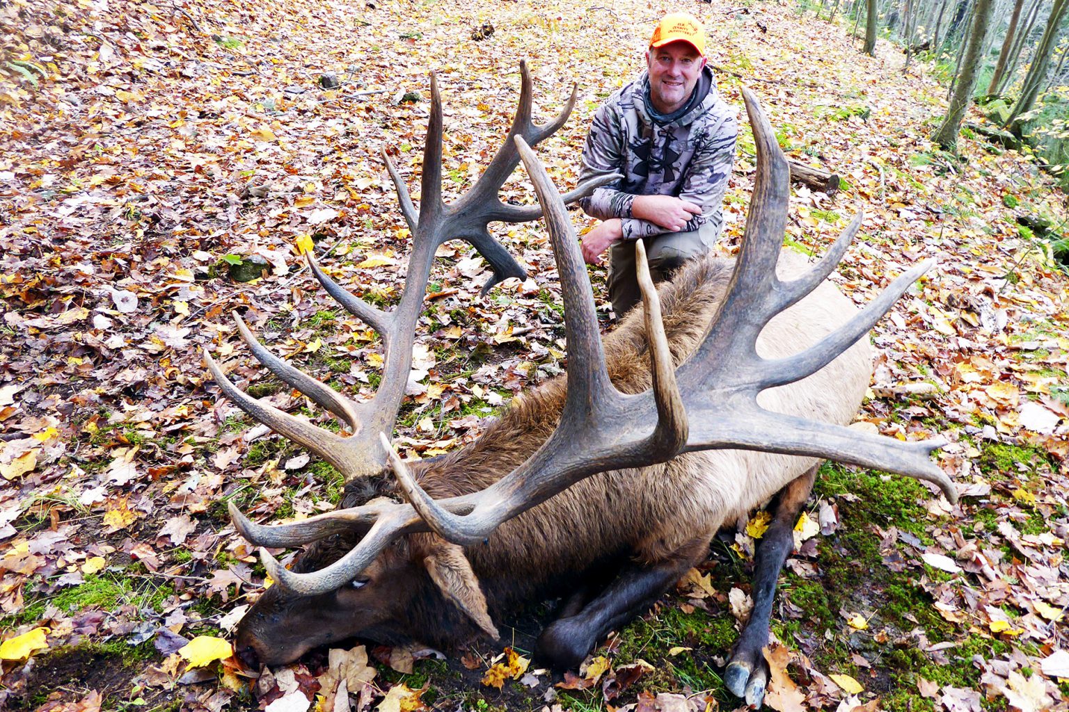 455-Inch Bull Set to Crush the Pennsylvania State Elk Record