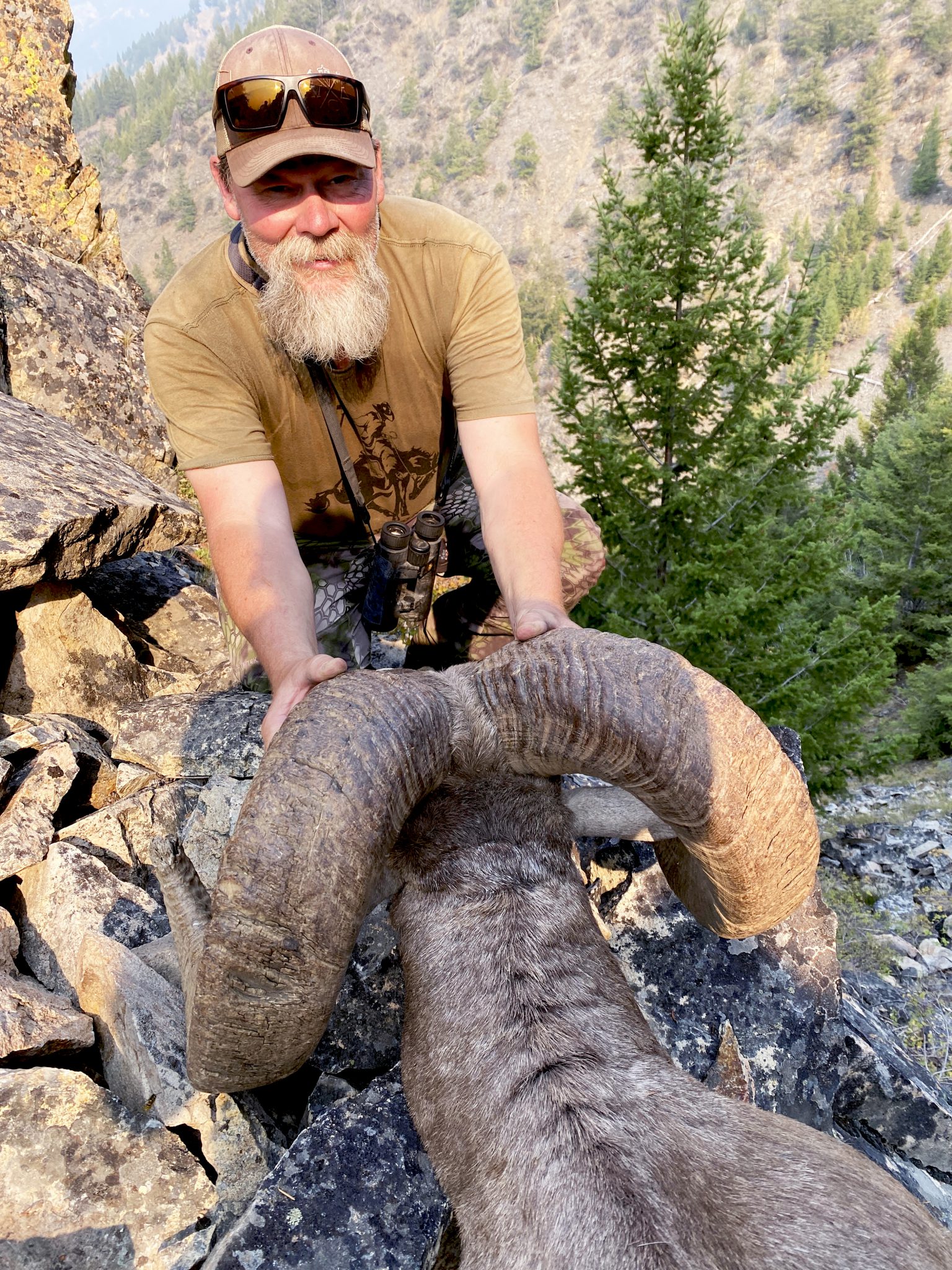 Sheep of a Lifetime: Kyle Lamb Tags Idaho Bighorn
