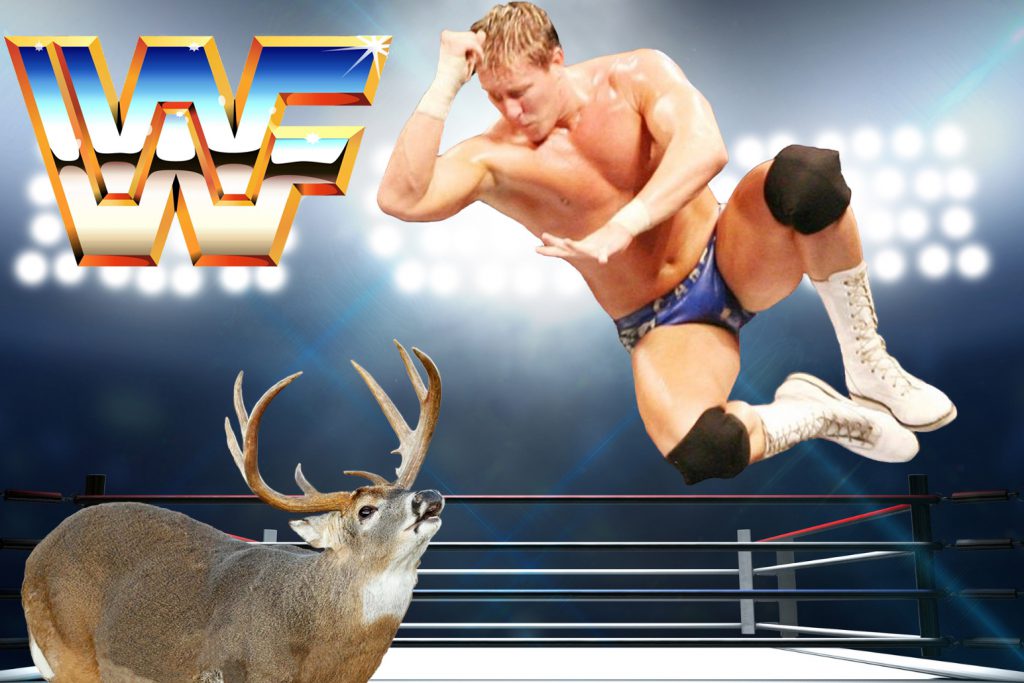 6 WWF Legends Who Love to Hunt and Fish