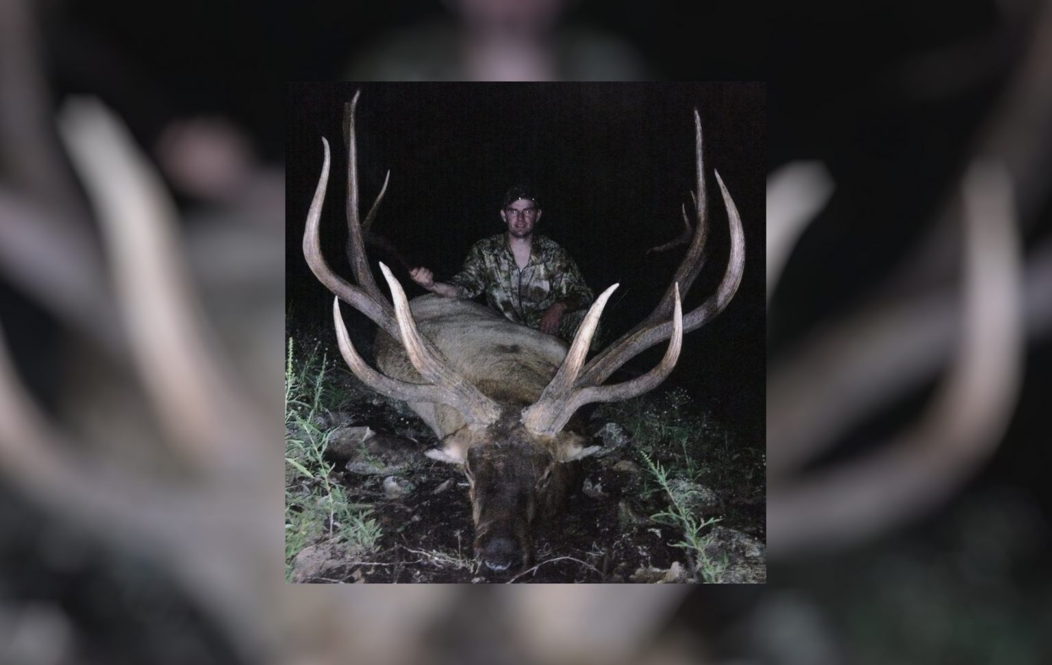 World Record Bulls: The Top 5 Typical Archery Elk