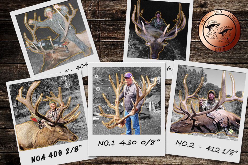 World Record Bulls: The Top 5 Typical Archery Elk