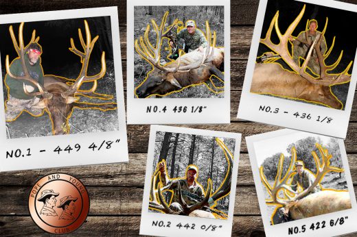 Trophy Elk: The Top 5 Non Typical Archery Bulls of All Time