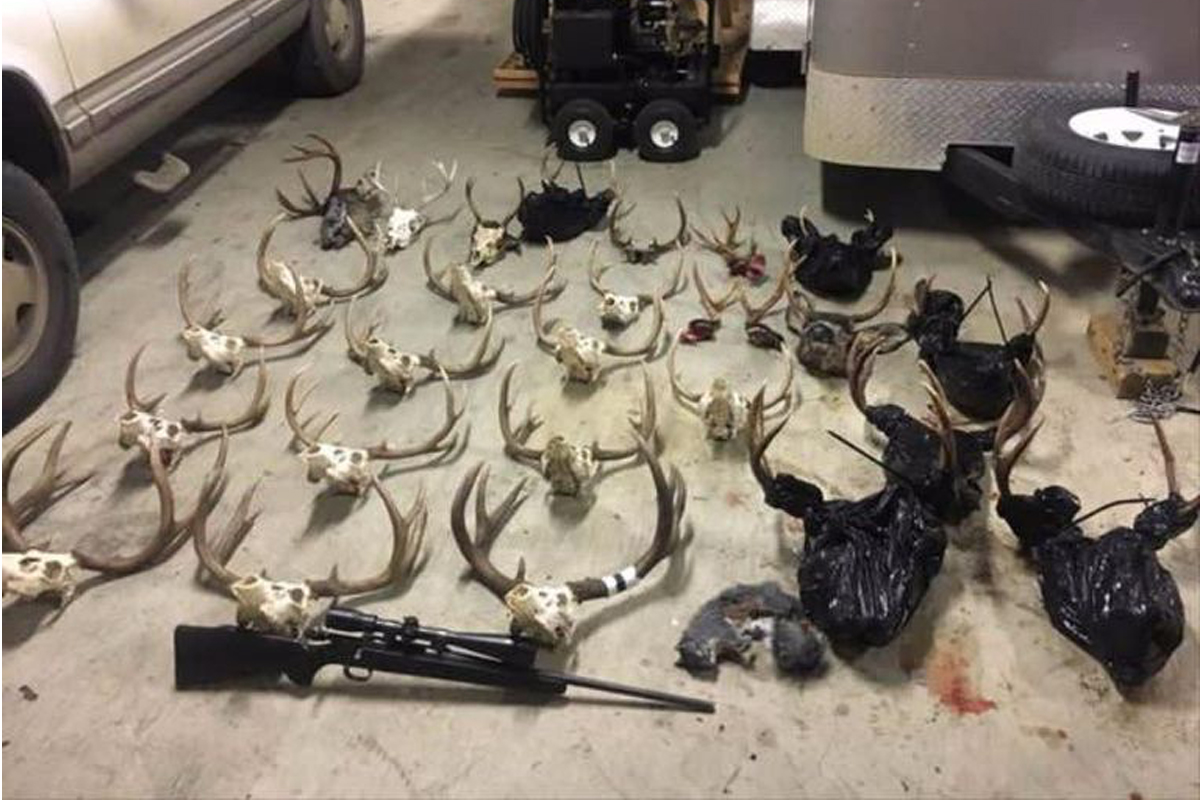 LOL: Oregon Poaching Ring Done-In By Text Messages
