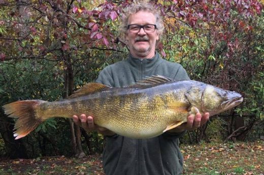 Pennsylvania State Record Walleye was Almost a Filet-O-Fish
