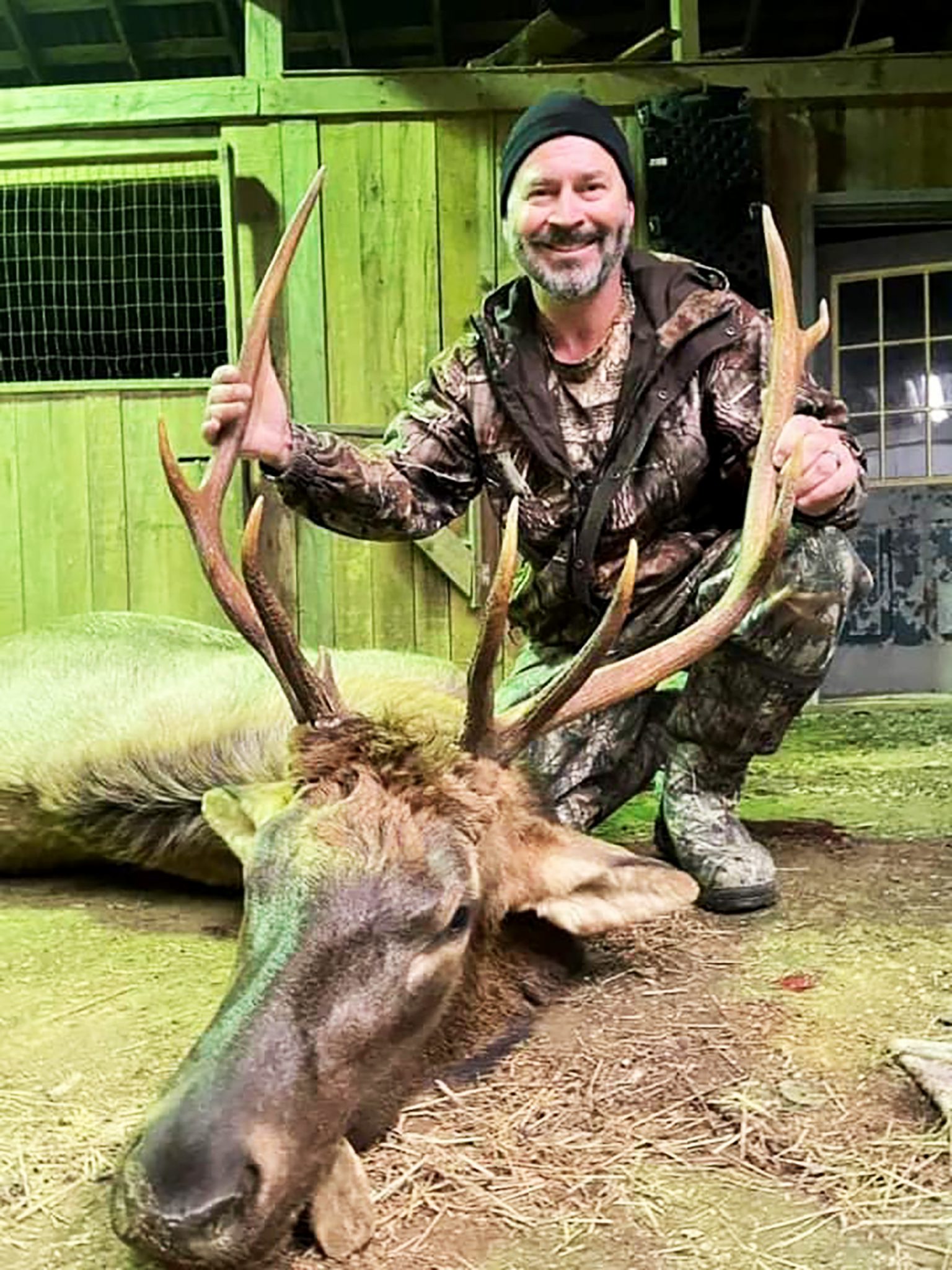 Virginia Elk Are Back! Whitetail Hunter Tags 700-Pound Home-State Bull