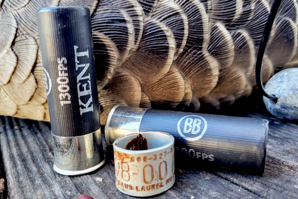 Banded Birds: Why Leg Bands are More Than Mere Hunting Trophies