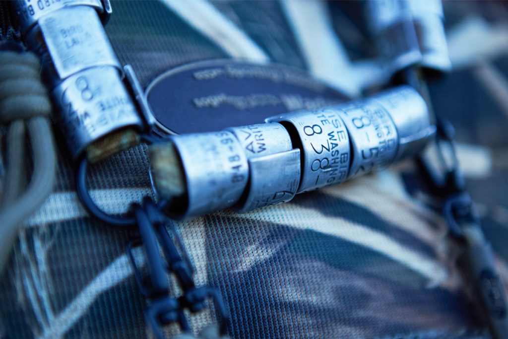 Banded Birds: Why Leg Bands are More Than Mere Hunting Trophies