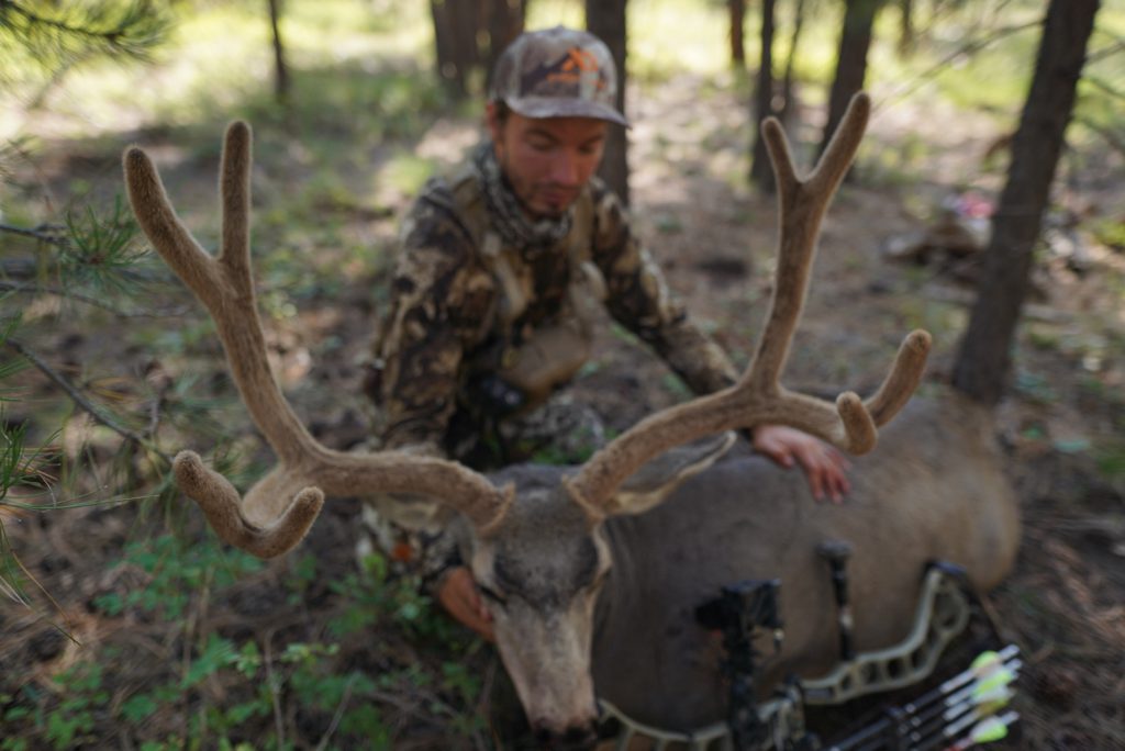 Hunting Big Air and Big Game: Meet Olympic Gold Medal Skier David Wise