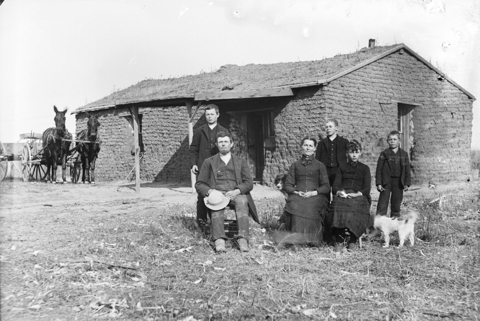 Warts and Beauty Marks: The Homestead Act and the Making of America