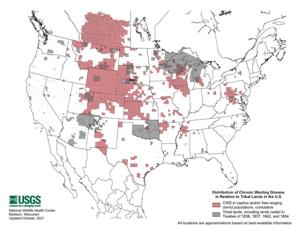 Wildlife Scientists Lead the Charge in Montana’s CWD 'Zombie Deer' Fight