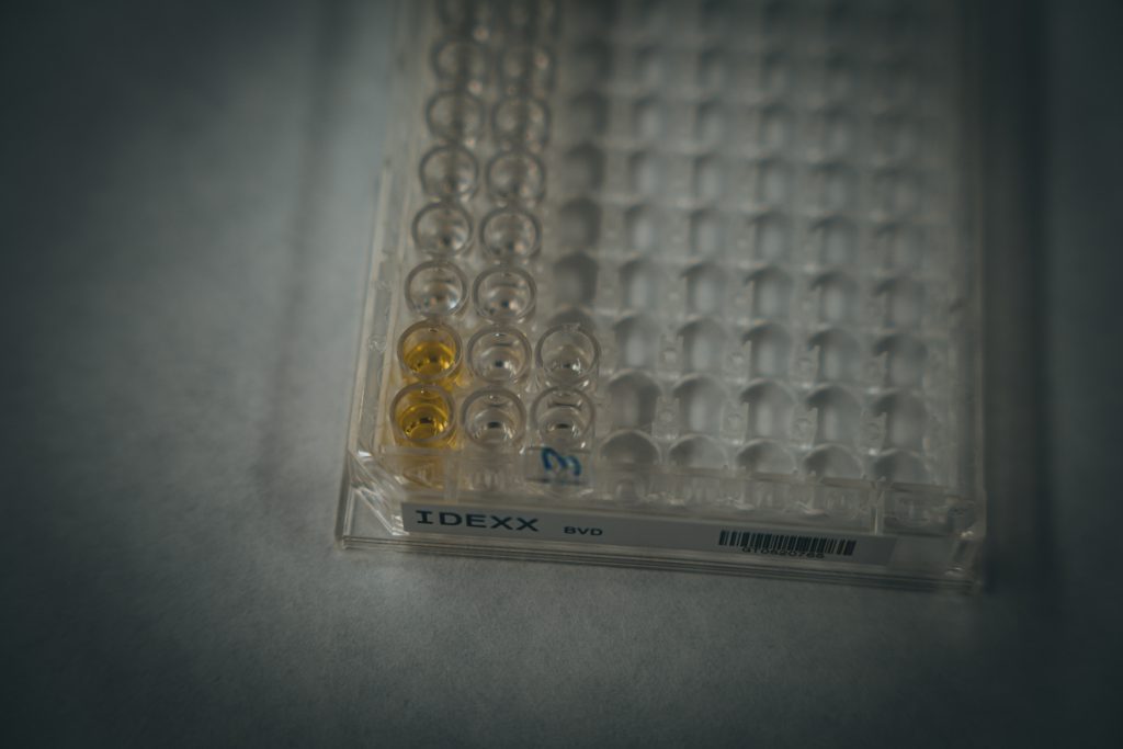 Wildlife Scientists Lead the Charge in Montana’s CWD 'Zombie Deer' Fight