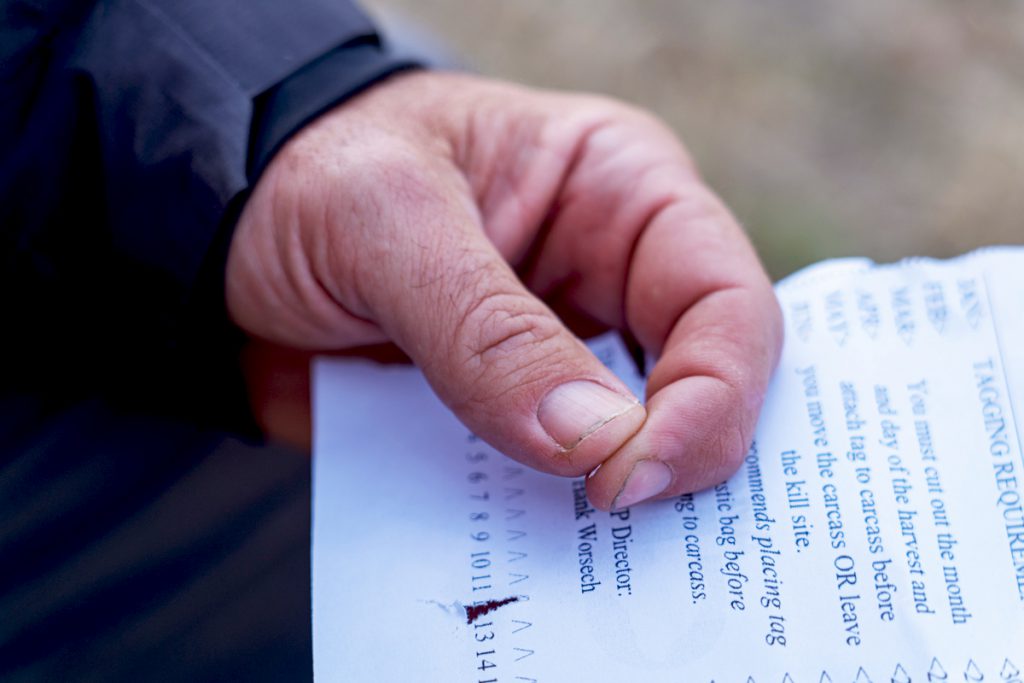 Emily Kantner, Author at Free Range American