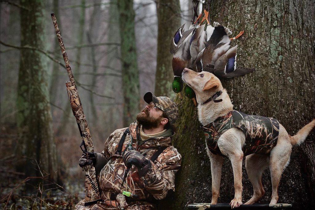 Underdogs: 4 Hunting Dogs That Beat Death and Got Back in the Field