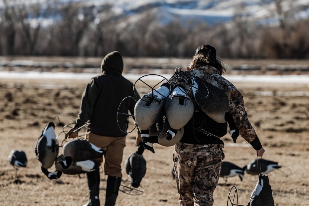Goose Hunting: Kill Late-Season Public Land Canada Geese