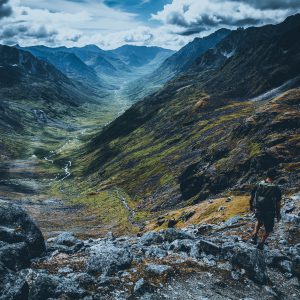 Home - Free Range American