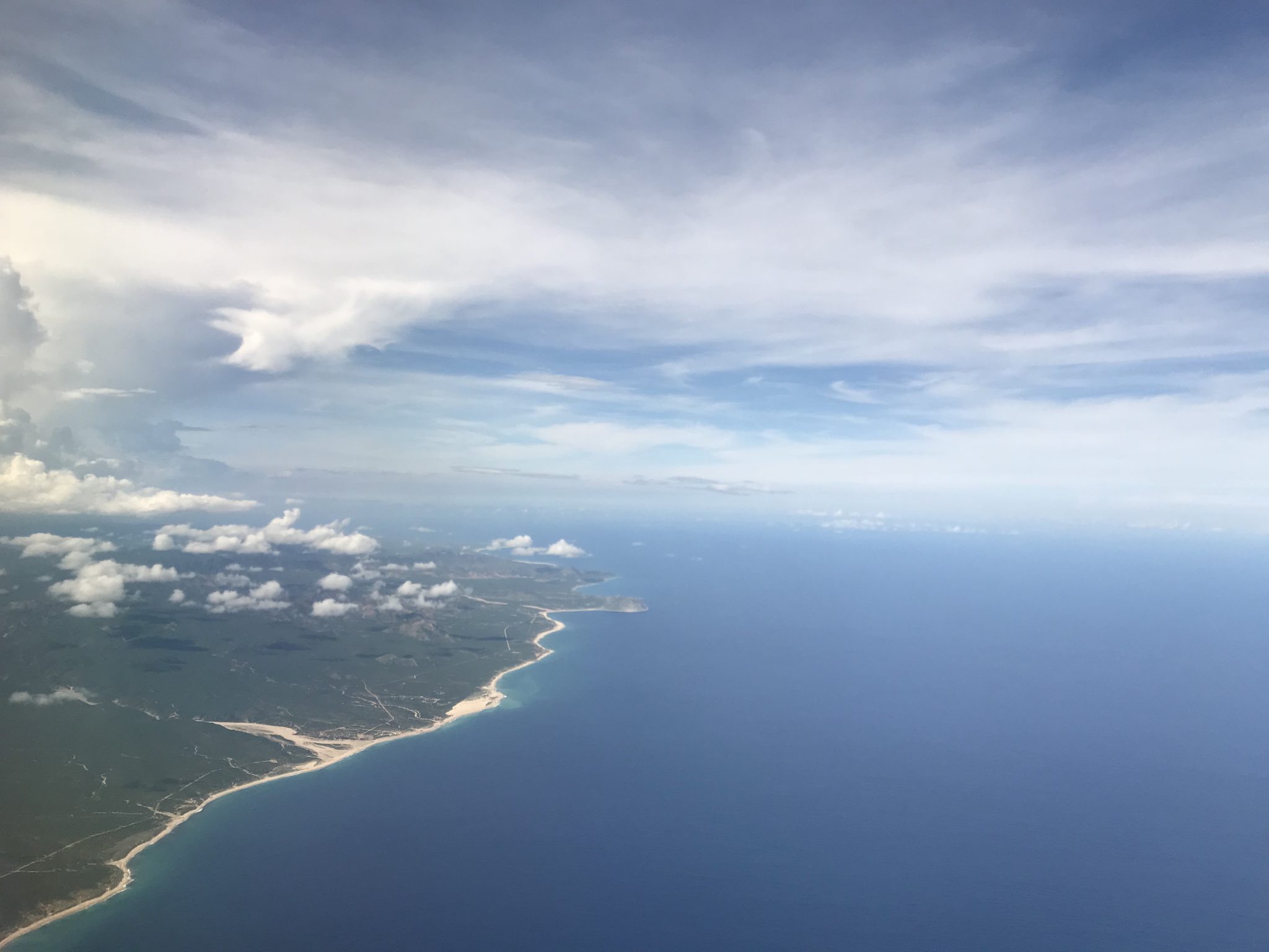 Rooster Fish: Get Tropical and Be Ready for a Fight