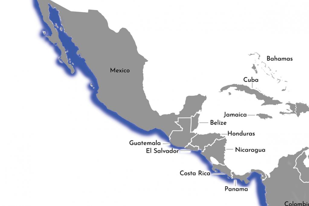 Rooster Fish: Get Tropical and Be Ready for a Fight