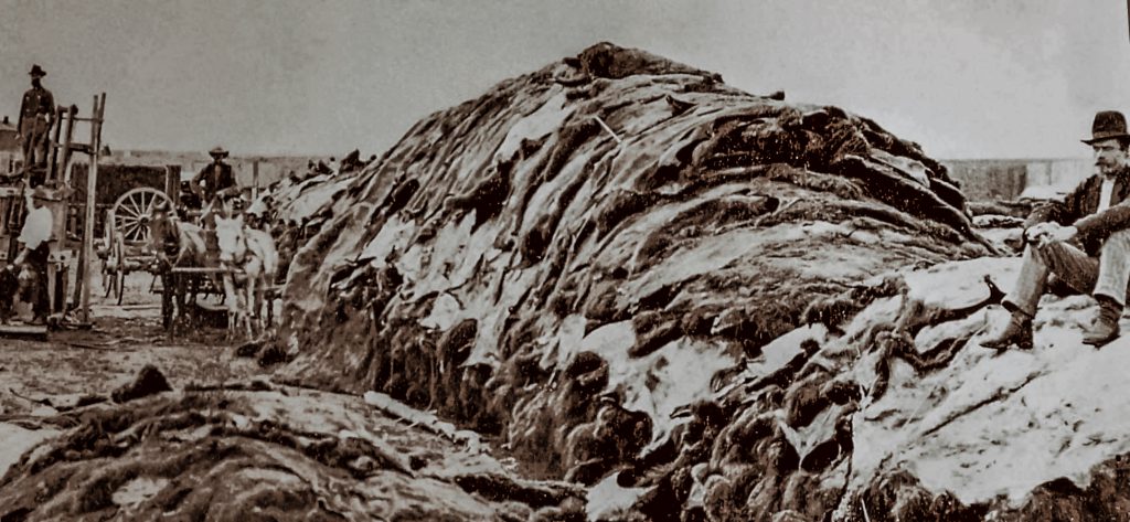 Hands-On Mountain Man History Lesson: DIY Tanning Beaver Tails