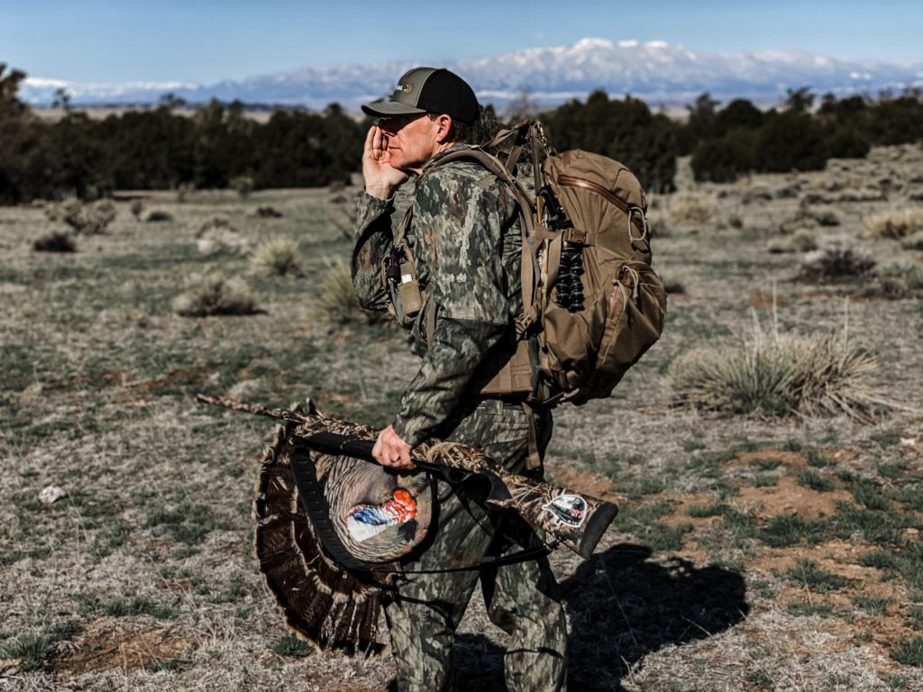 Hunting the Mountain-Dwelling Merriam Turkey