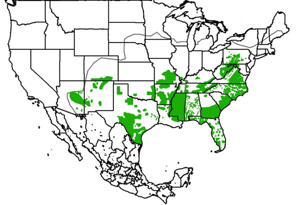 Oklahoma Joins Other States in Tightening Spring Gobbler Regs