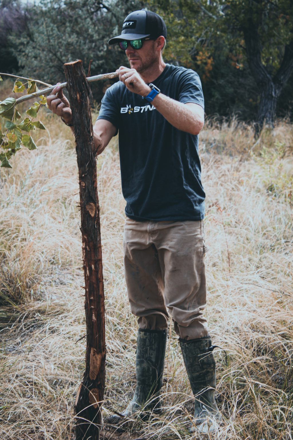 Whitetail Property Tweaks: Low-Effort Improvements That Yield Big Results