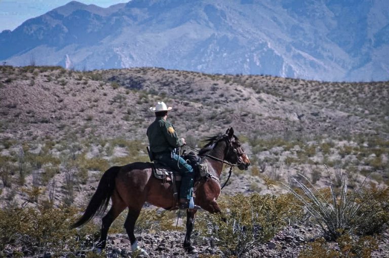 Faint Screaming, Mounted Agents: Border Patrol Rescue of a Lost Hiker