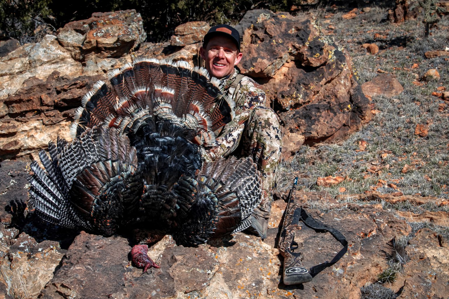 Hunting the Mountain-Dwelling Merriam Turkey
